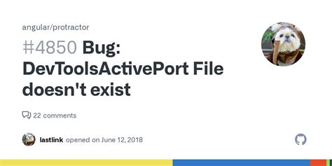 bug devtoolsactiveport file doesn t exist · issue 4850 · angular