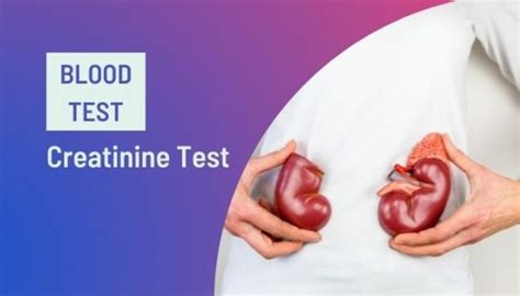 Creatinine Test Purpose Normal Range And Cost [2024]