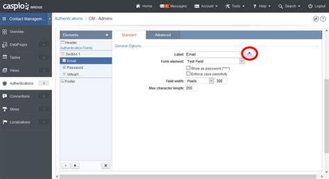 using app parameters caspio online help