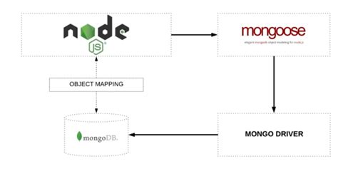 connecting to mongodb with mongoose dev community