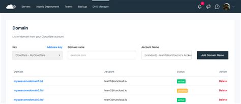how to use cloudflare to manage dns records using runcloud