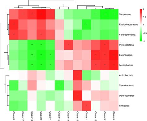Heat Map Of The Correlation Between Metabolite Clusters And Gut