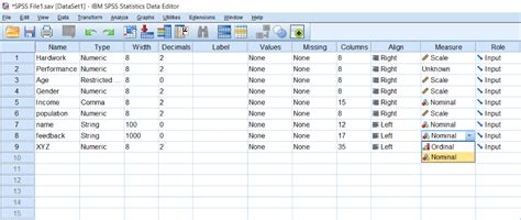 Nominal Ordinal Scale Spss
