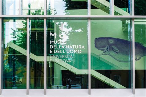 A Padova Il Nuovo Museo Della Natura E Delluomo Radio Pico