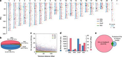 Structural Variants Svs In Rhemacs A The Distribution Of Large Svs