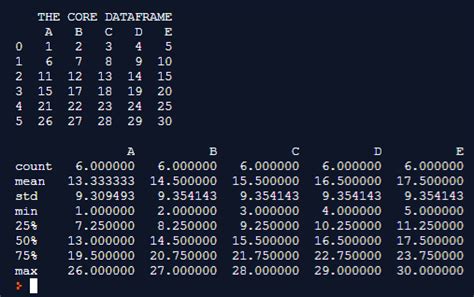 pandas dataframe describe parameters and examples in detail