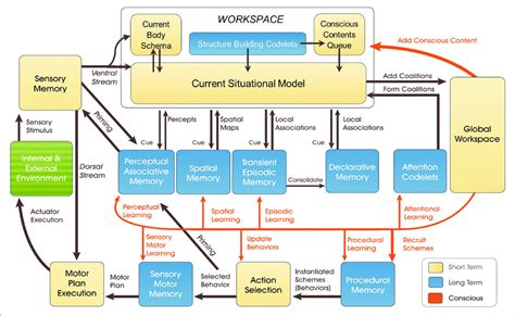 The Lida Model Cognitive Cycle Overview Diagram Download