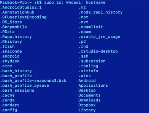 what are sudo privileges in linux