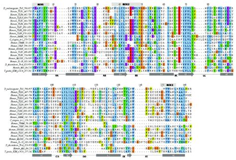 Multiple Sequence Alignment Of Y2426 From Y Pestis Kim With Eukaryotic