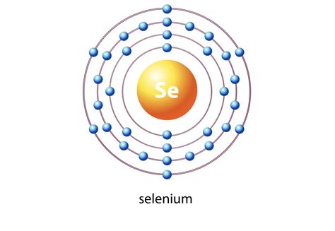 selenium neuroneeds