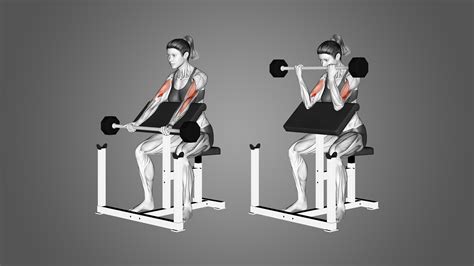 Ez Bar Preacher Curl Reverse Grip A Strength Exercise Atelier Yuwa
