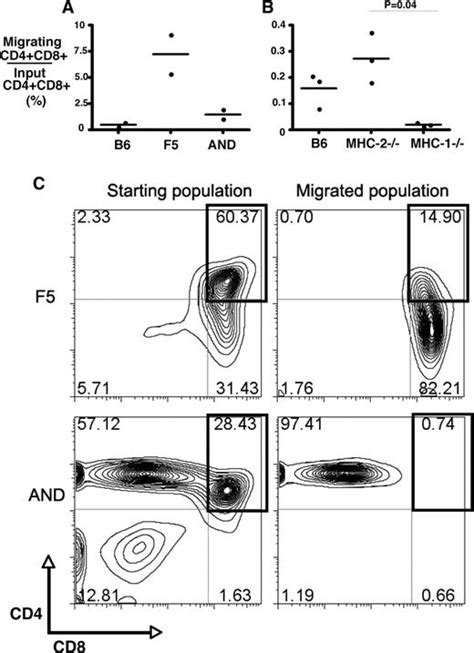 Ccr7 Expression In Developing Thymocytes Is Linked To The Cd4 Versus