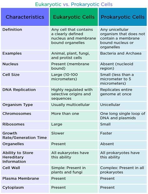 Imat 2011 Q44 [prokaryotic And Eukaryotic Cells] Past Papers