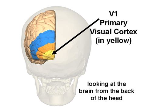 Cvi Scotland Lessons