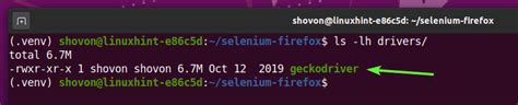 using selenium with firefox driver linux hint
