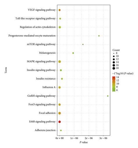 David Enrichment Analysis Of The 61 Core Targets Download Scientific