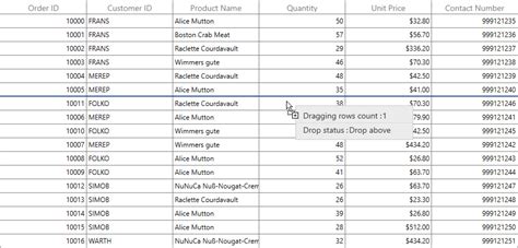 row drag and drop in wpf datagrid control syncfusion