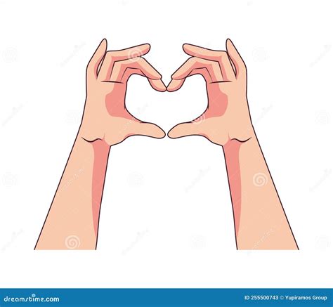 Hands Making A Heart Stock Vector Illustration Of Gesture 255500743