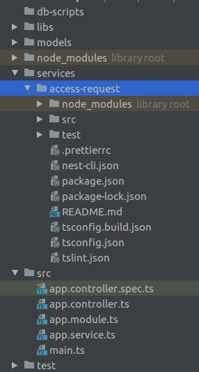 javascript nestjs sharing libraries stack overflow