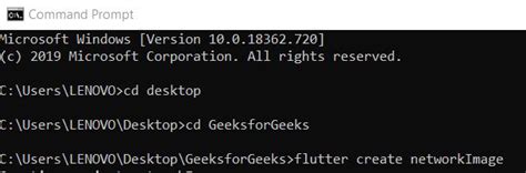 display network image in flutter geeksforgeeks