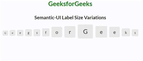semantic ui label size variations geeksforgeeks