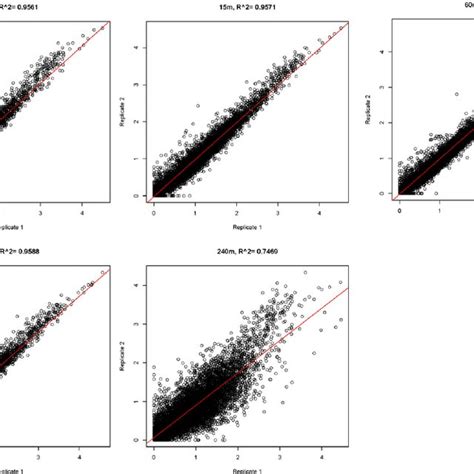 Comparison Of Rna Seq Replicate Experiments The Fpkm For Biological
