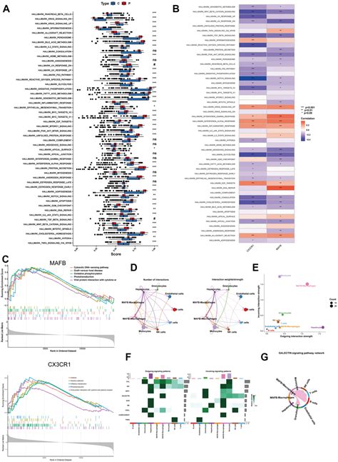 Identification And Validation Of Key Biomarkers Associated With