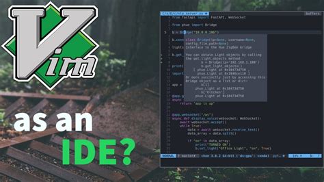 setup neovim like an ide youtube