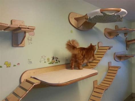 Pin On Cat Room
