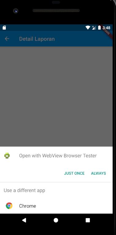 [fixed] android flutter how to display webview inside application