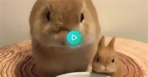 when you realize on imgur