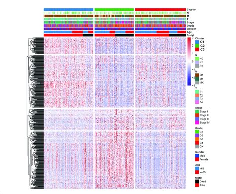A Heatmap Was Shown For The Relationship Between Clinical Factors