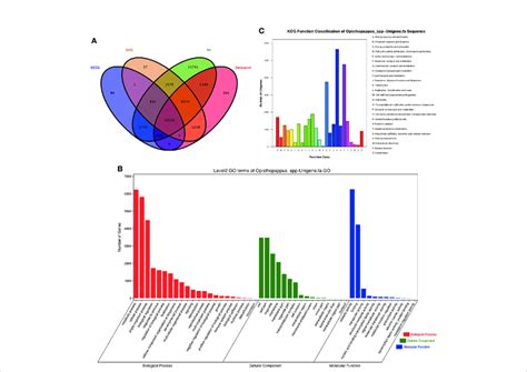 Gene Annotation Information A Annotated Wayne Diagram Of Four Major