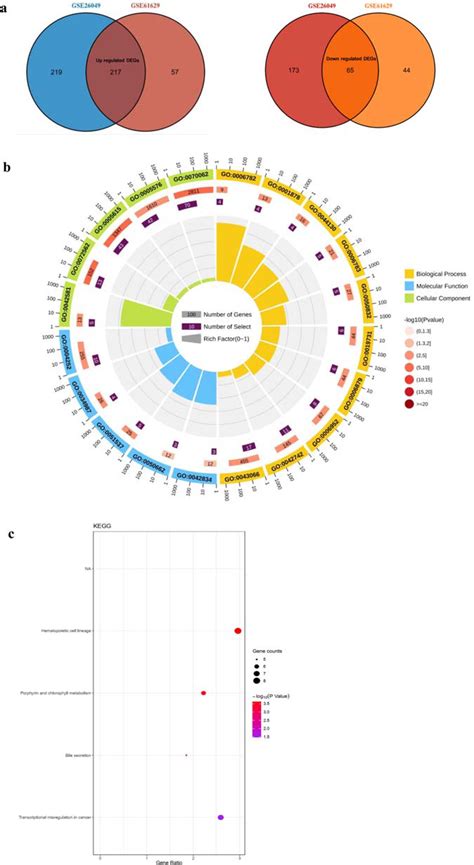Functional And Pathway Enrichment Analyses Of Degs A Venn Diagram