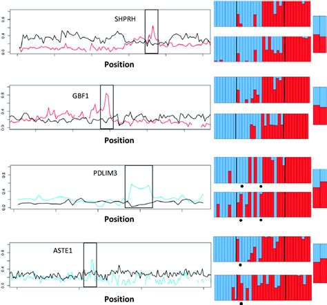 Patterns Of Introgression And Genetic Differentiation Inside And