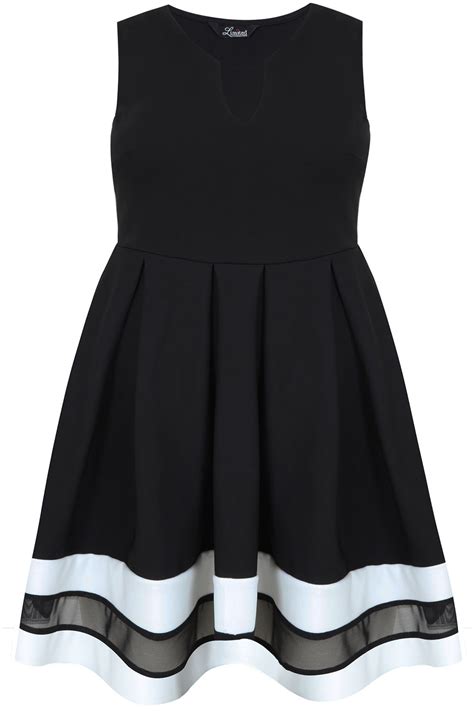 Black White And Mesh Block Skater Dress