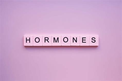 Guide To Sex Hormones How To Balance Your Hormones Naturally