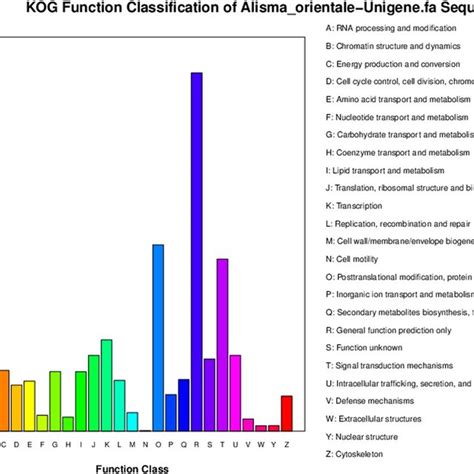 Kog Function Classifications Of The A Orientale Unigenes Download