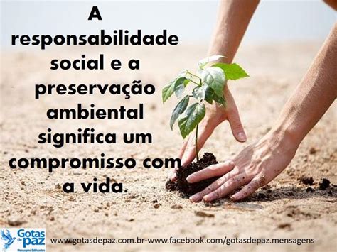 A Responsabilidade Social E A Preservação Ambiental Significa Um