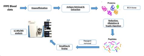 Shotgun Proteomics Workflow For Characterizing The Protein Content Of