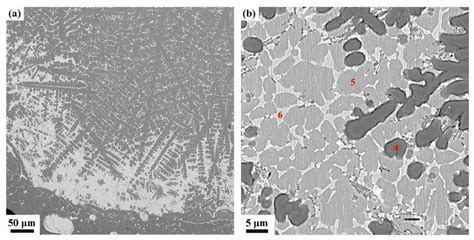 Typical Microstructures Of The Melting Zone Of Ti14 Alloy A Overall