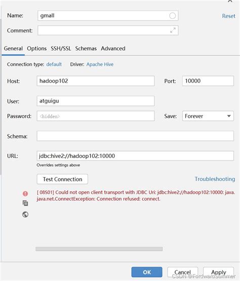 hive [ 08s01] could not open client transport with jdbc uri jdbc hive2
