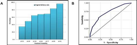 Model Performance For Predicting Successful Vaginal Delivery Following