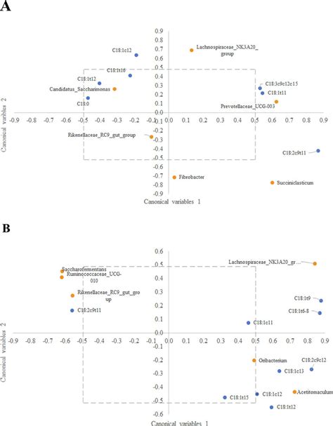 Canonical Correlation Analysis Cca Similarity Maps For The Bacterial