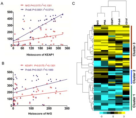 Correlation Of Keap1 Nrf2 With Ppia Prdx6 And Cd147 In Human Oscc