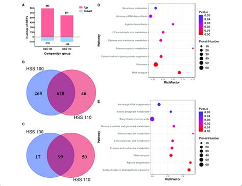 Analysis Of Differentially Abundant Proteins In P Haitanensis
