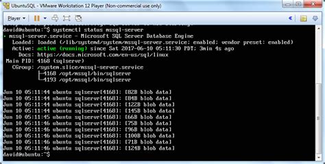 sql clarity sql server on ubuntu installation overview
