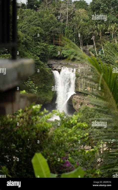 A Magnificent Waterfall Cascades Down The Lush Green Hillside Bordered