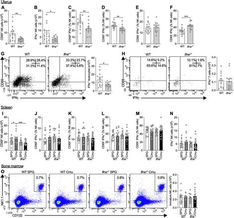 Interferon Epsilon Is A Novel Regulator Of Nk Cell Responses In The