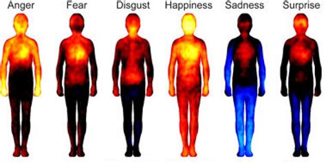 PsicÓlogo Reptiliano A DiferenÇa Entre EmoÇÕes E Sentimentos
